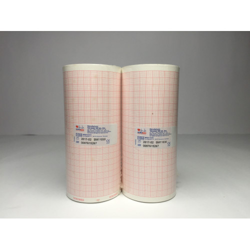 ECG Paper : VARIOUS MODEL